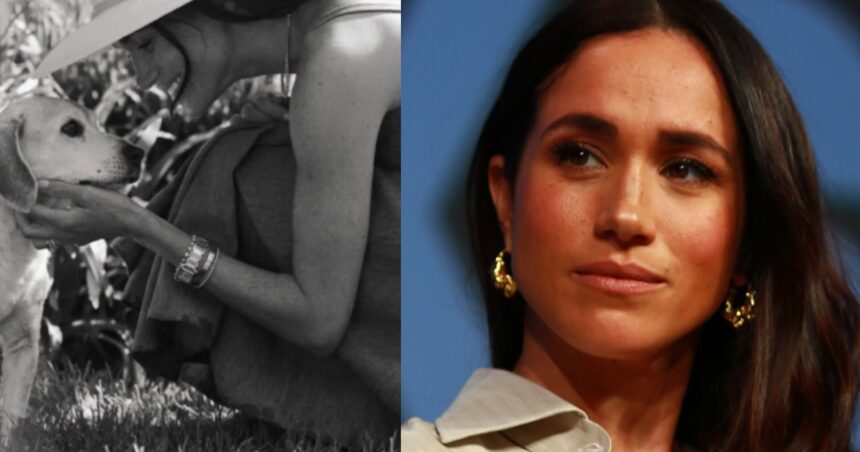 Meghan Markle's Mourns Dog Guy's Death, Shares Prince Harry and Her ...