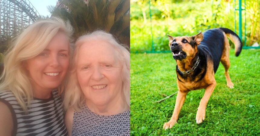 76-Year-Old Woman With Dementia Mauled to Death by 24 Pet Dogs, Cops ...