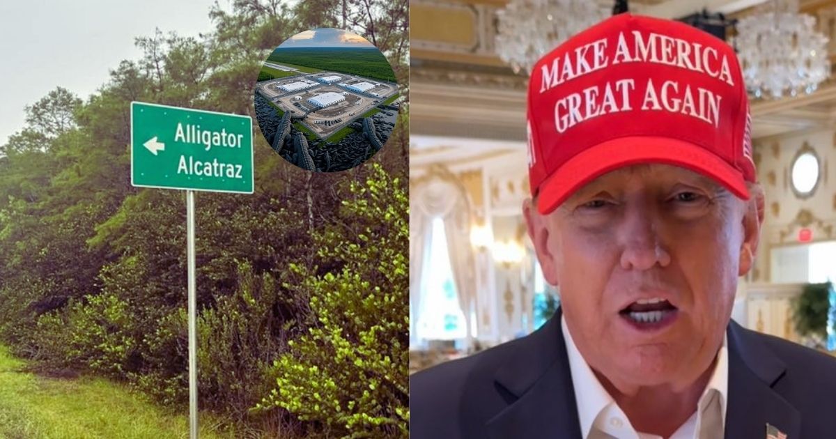 'Simply Disgusting'—Outrage Erupts as MAGA Fans Turn ‘Alligator ...