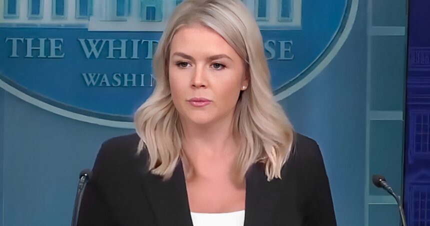 Did Karoline Leavitt Ditch Her Cross Necklace to Lie About Epstein ...