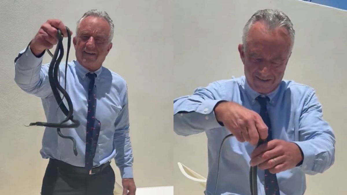 "You're Nuts" — Cheryl Hines Scolds RFK Jr. After He Wrestles Two ...
