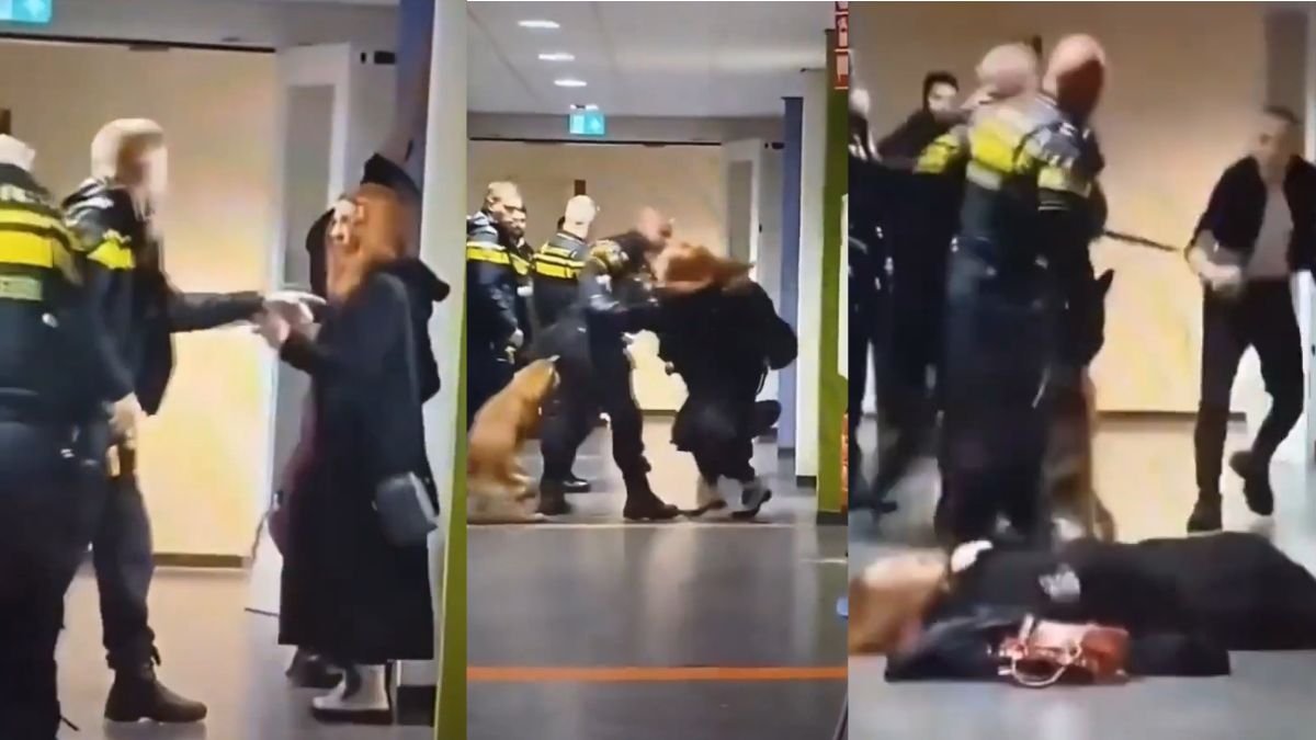 Cop Thrashes 9-Months-Pregnant Woman, Drags Her by the Hair at Asylum ...
