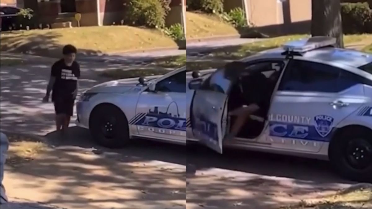 Woman Steals Police Car on Camera and Reverses Into a Tree During a ...